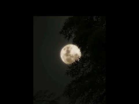 The moon is beautiful,isn't it?🌝