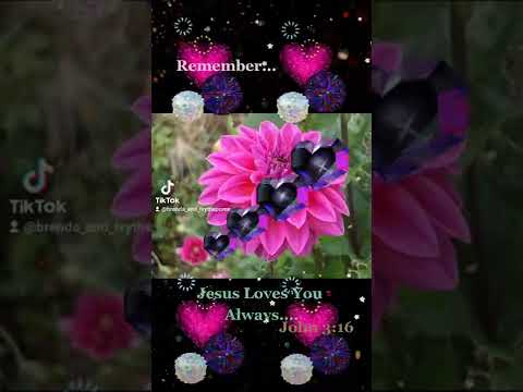 Jesus Always Loves You. John 3:16