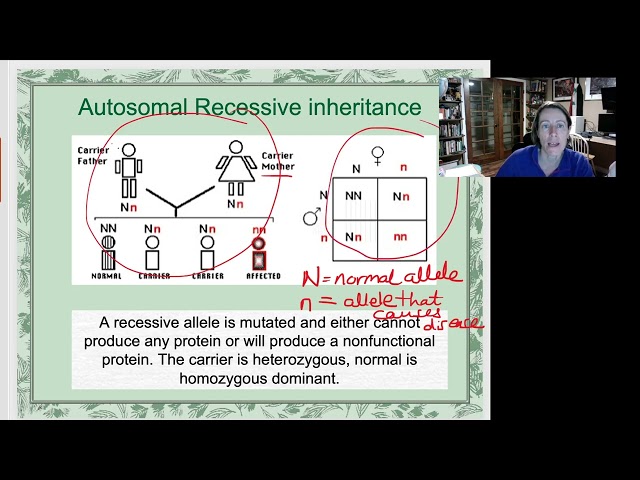 Understanding Autosomal Recessive Disorders: Genetics and Implications ...