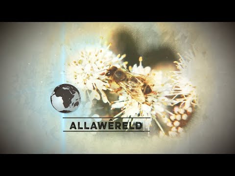 (EEP) ENVIRONMENTAL EDUCATION PROJECT