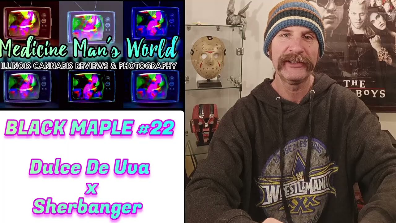 Black Maple #22 | Weed Review 
