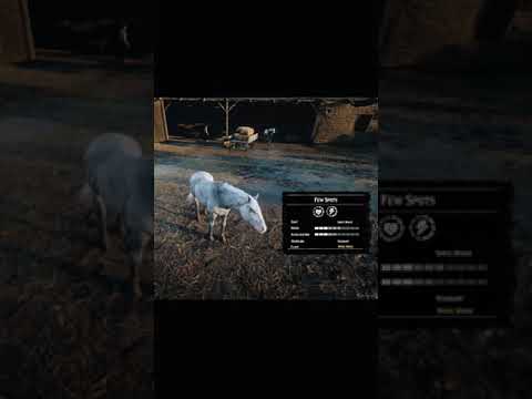 Steam Community :: Video :: RDR2 • All Appaloosa Horse Colors and ...