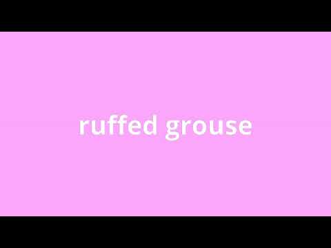what is the meaning of ruffed grouse