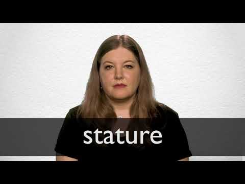 How to pronounce STATURE in British English