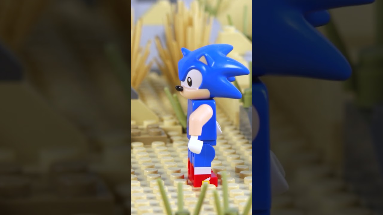 I Hate that Hedgehog! #sonicthehedgehog