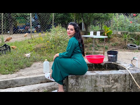 Villafe Girl Lifestyle: Village Vlog | Rural Life Vlog | Cooking Local Food | Iranian Woman