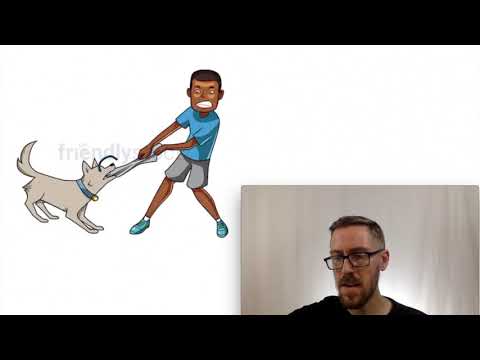 Newton's Third Law and Force Pairs (D5)