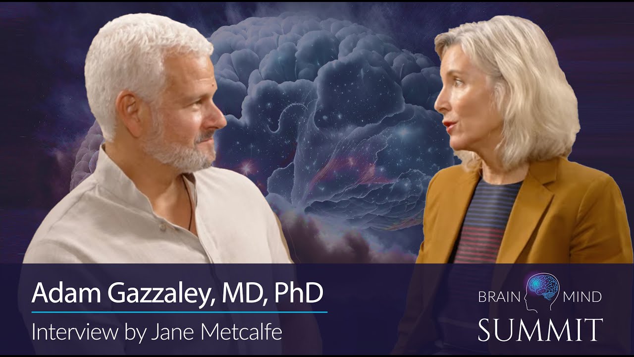 Interview with Adam Gazzaley at the BrainMind Summit