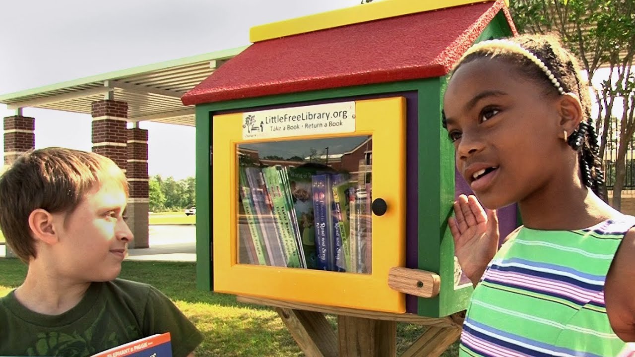 Little Free Libraries - Building Literacy in the Spring Community