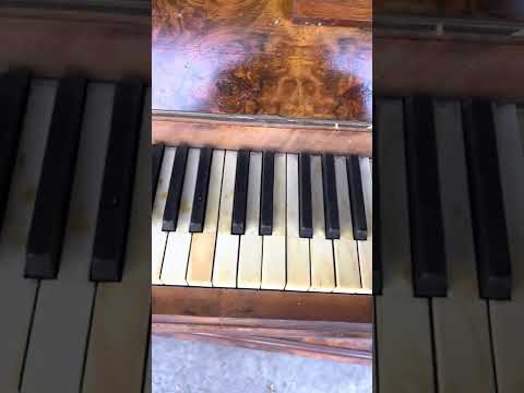 German Antique Upright Piano - 1800's Walnut/Ivory | Reverb