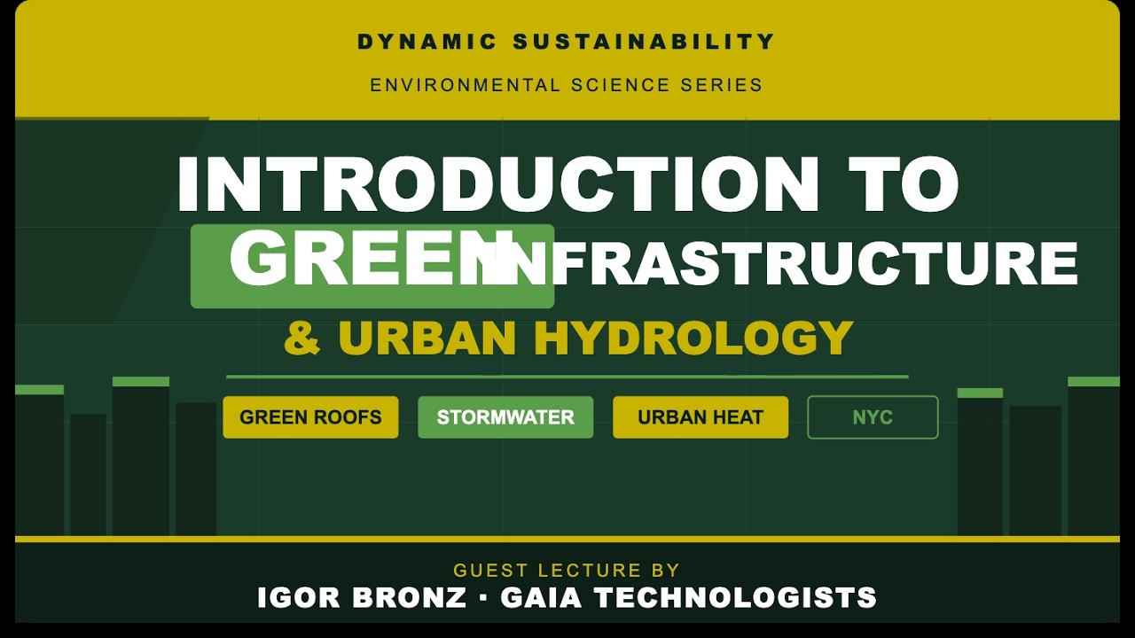 Why Cities Flood and How Plants Can Save Them | Igor Bronz