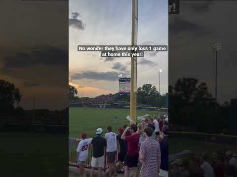 Gamecock Baseball! #sports #games #baseball #gamecocks #SEC #collegebaseball
