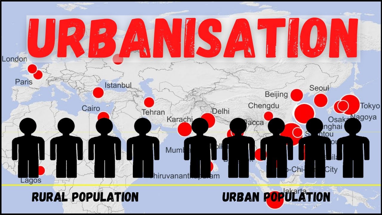 Understanding Urbanisation: Trends, Factors, and the Rise of Megacities ...