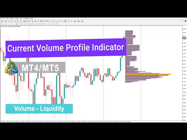 Understanding the Current Volume Profile Indicator for MT4/5 | Galaxy.ai