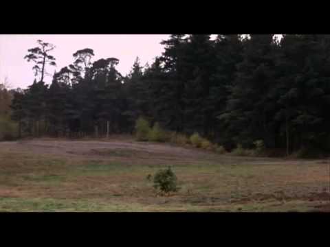 Monty Python: How Not To Be Seen