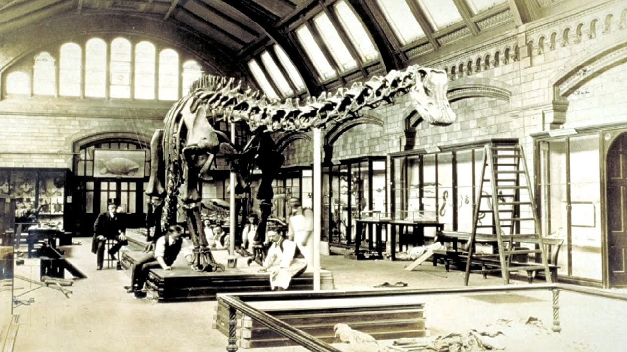 Dippy the Diplodocus begins giant tour on UK's Jurassic coast | ITV News