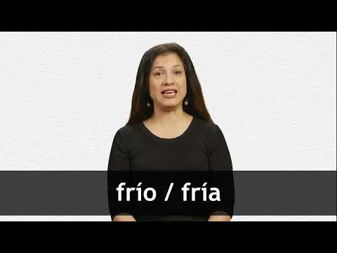 English Translation of “FRÍO” | Collins Spanish-English Dictionary