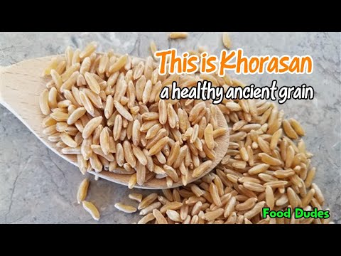 Life of Khorasan | Best Uses for Khorasan Flour