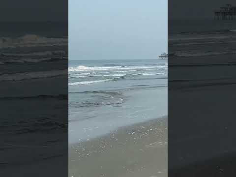 Simply the best part of the beach - Beach Therapy