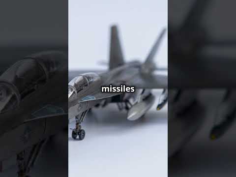 What is the F 4 Phantom?