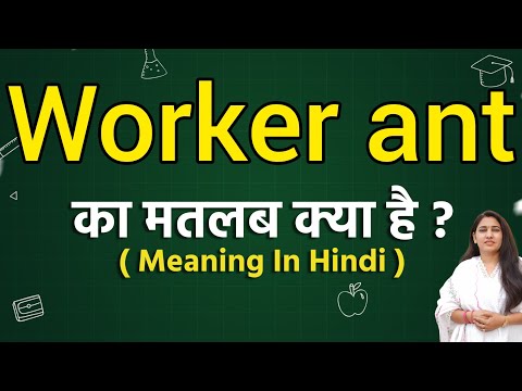 Worker ant meaning in hindi | Worker ant ka matlab kya hota hai | Word meaning