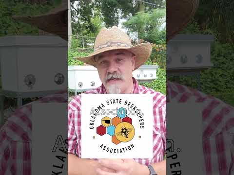 Don't Miss This Natural Beekeeping Seminar September 20, 2025
