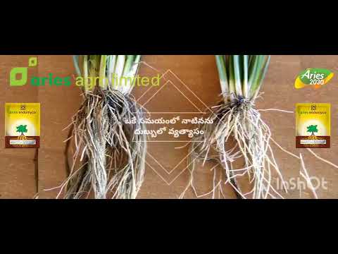 Aries agro ltd Endomyco product results