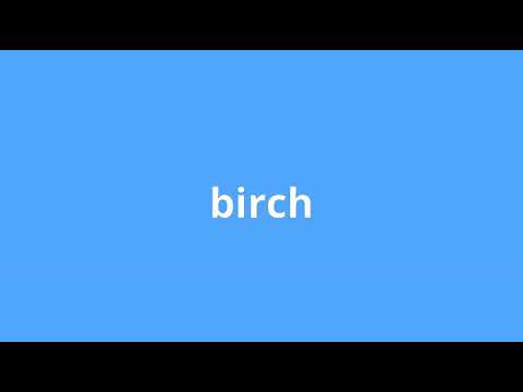 what is the meaning of birch