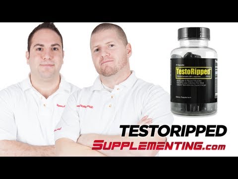Testoripped Review - Supplementing.com