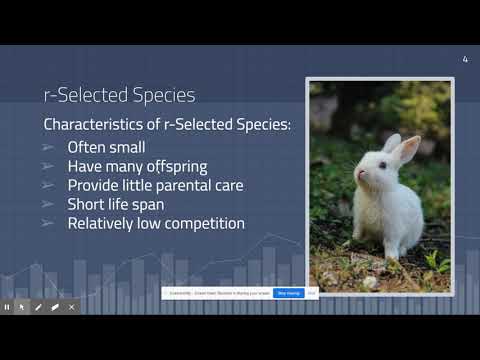 3.2 K-Selected & r-Selected Species