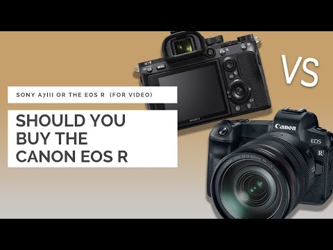 Canon EOS R vs Sony A7III | Which should you buy? | ThatModernDude