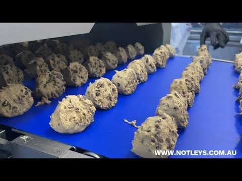 HANDTMANN & NOTLEY'S COOKIE PRODUCTION 2021