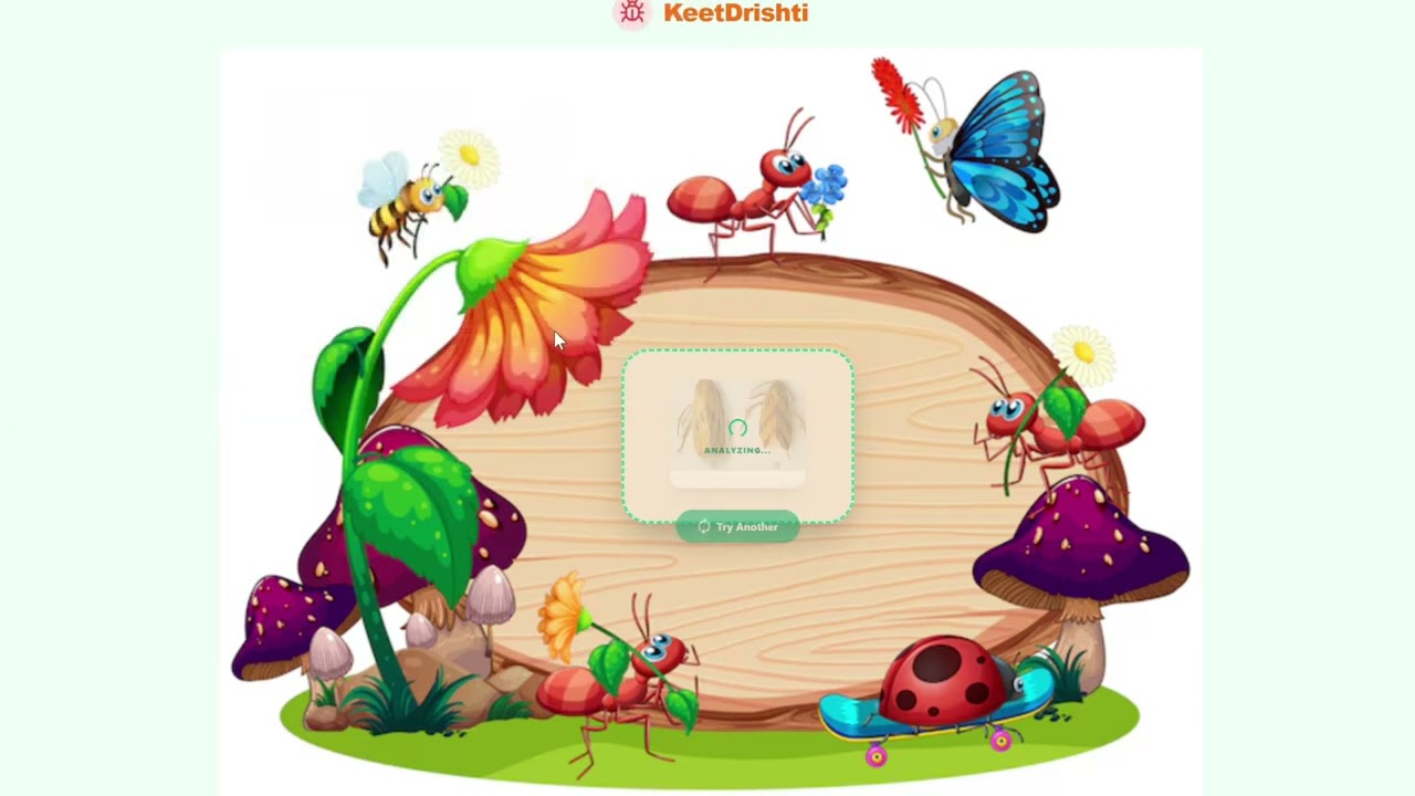 KeetDrishti: Smart Insect Detection using CNN | AI System to Identify and Analyze Insects
