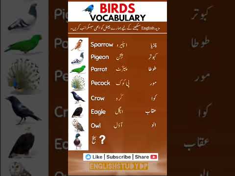 Birds vocabulary | English + Urdu #englishlearningclass #vocabulary #englishlanguage #Birds
