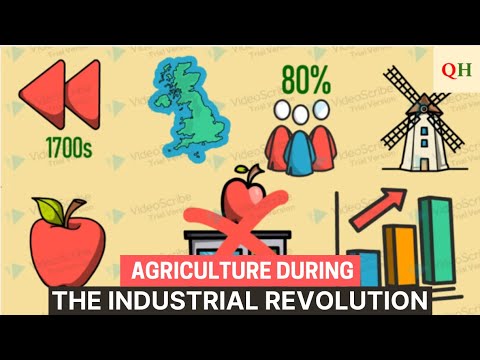 What was the Agricultural Revolution (during the Industrial Revolution)? - #2.3 | History made Fun