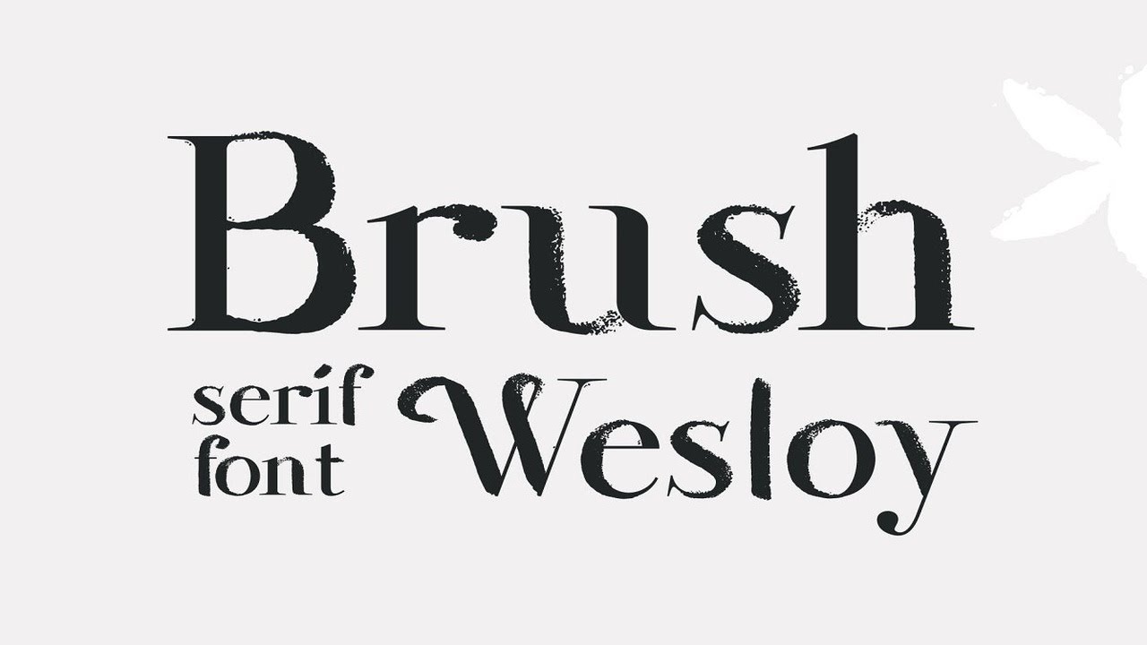 Wesloy dry brush serif font Font Free Download