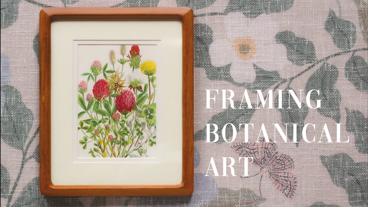 No. 1 | Framing Victorian Botanical Illustrations | easy DIY vintage decor | apartment update