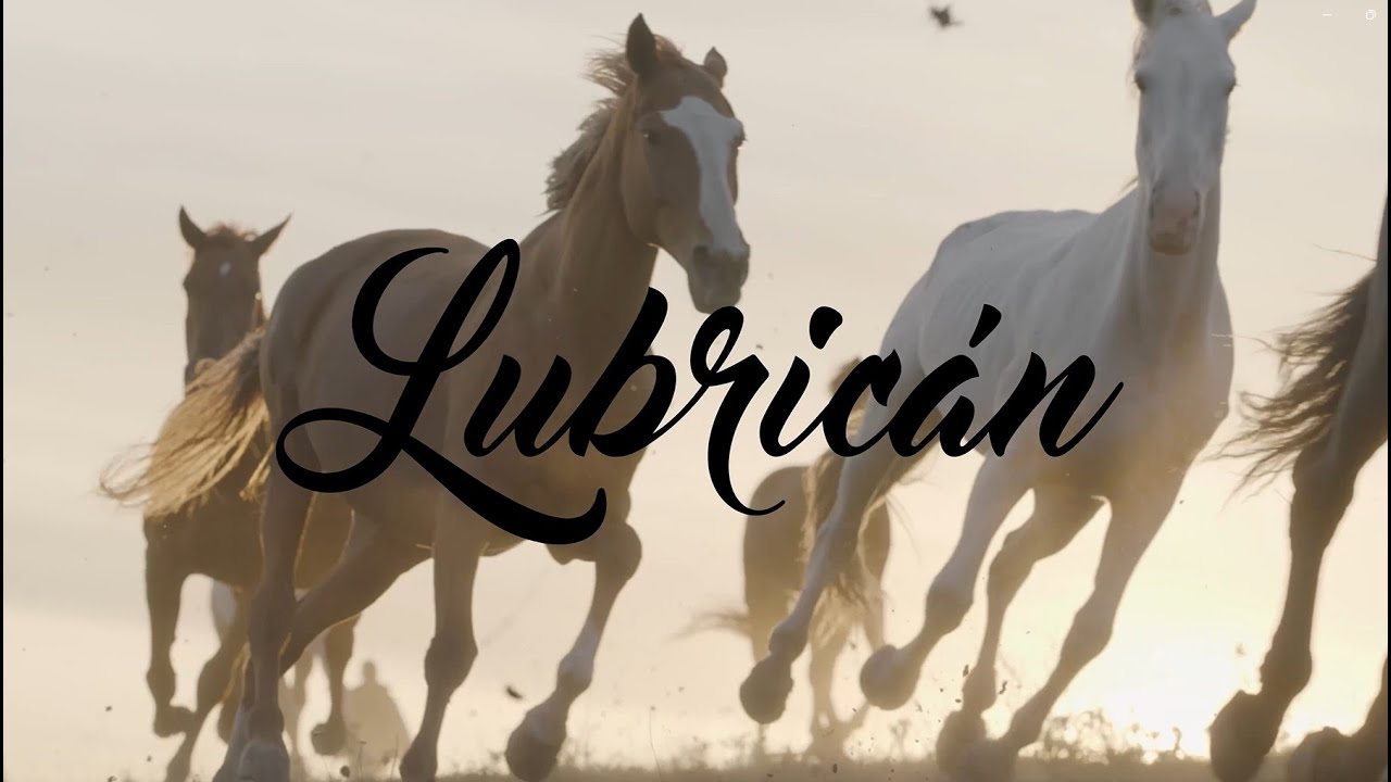Vivo A Mi Aire by Lubricán from Spain | Popnable