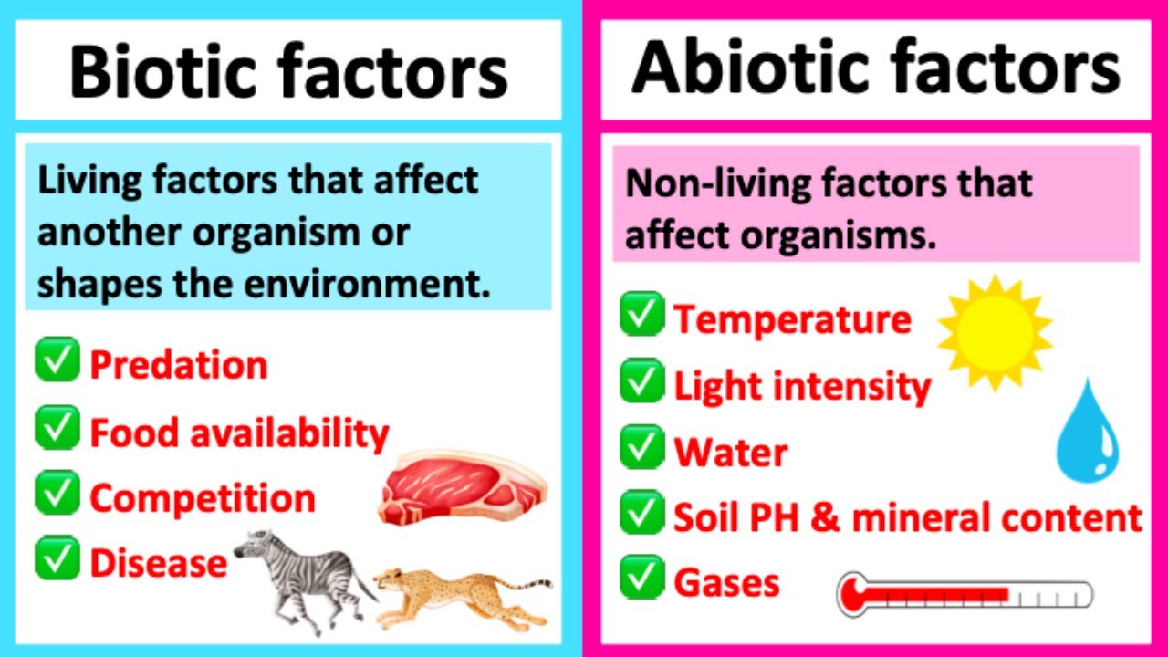BIOTIC vs ABIOTIC | What's the difference? | Learn with examples