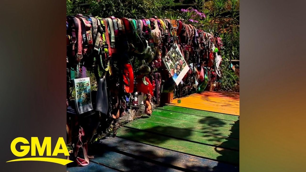 Rainbow bridge honors pets who have died l GMA