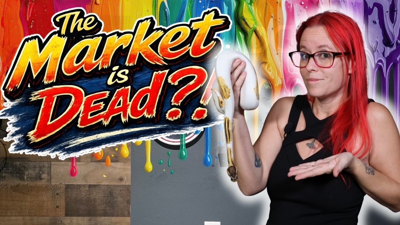 The Ball Python market didn't die- it changed