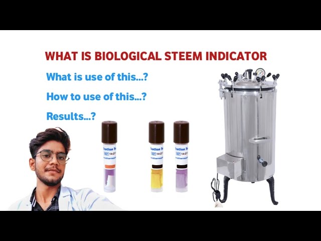 Biological Indicator - Autoclave Biological Indicator Strips ...