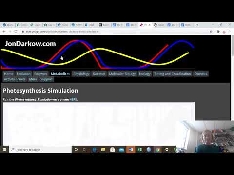 Exercise 7 preview video