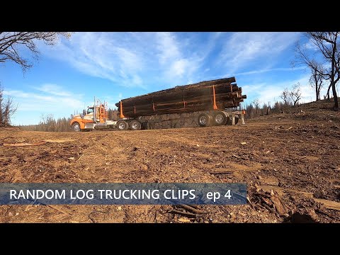 Random Log Trucking Clips ep4