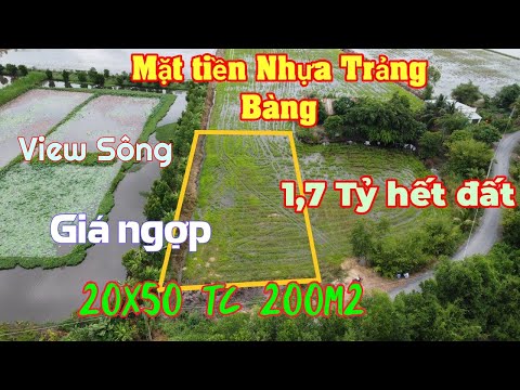 1000m2 20x50 Thổ cư 200m2 MT Nhựa View sông tại Trảng Bàng, Tây Ninh, giá chỉ 1 tỷ 7 hết đất quá rẻ.