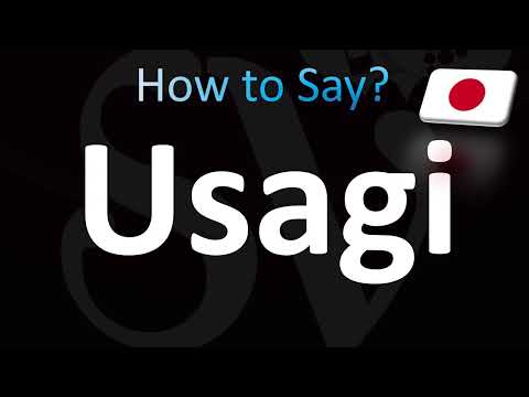 How to Pronounce ''Usagi'' Correctly! (Japanese, Rabbit, Sailor Moon)
