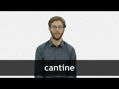 English Translation of “CANTINE” | Collins French-English Dictionary