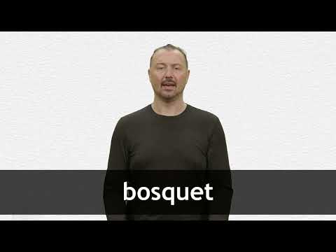 English Translation of “BOSQUET” | Collins French-English Dictionary