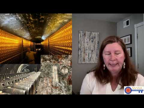 Wineries in Tokaj - Hungary Wine Trip - Napa Valley Wine Academy