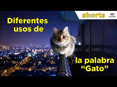 Usos de la palabra "gato" #shorts #learnspanish #learningspanish